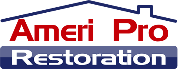 Dumpster Rentals and Junk Removal in Grand Ledge,MI - Ameri Pro Restoration