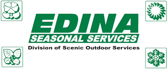 Dumpster Rentals | Edina Seasonal Services